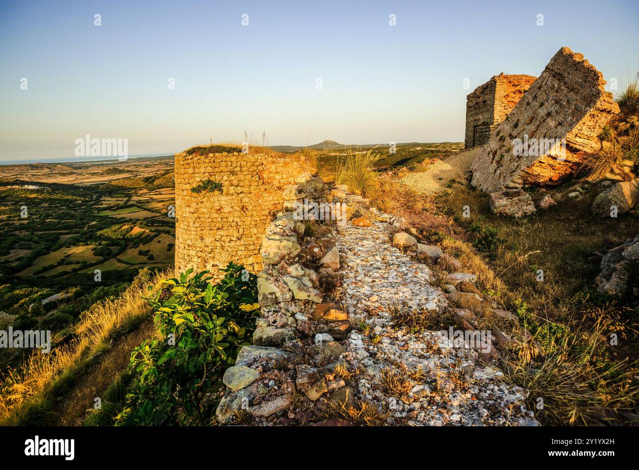 Santa cecilia estate hi-res stock photography and images - Alamy