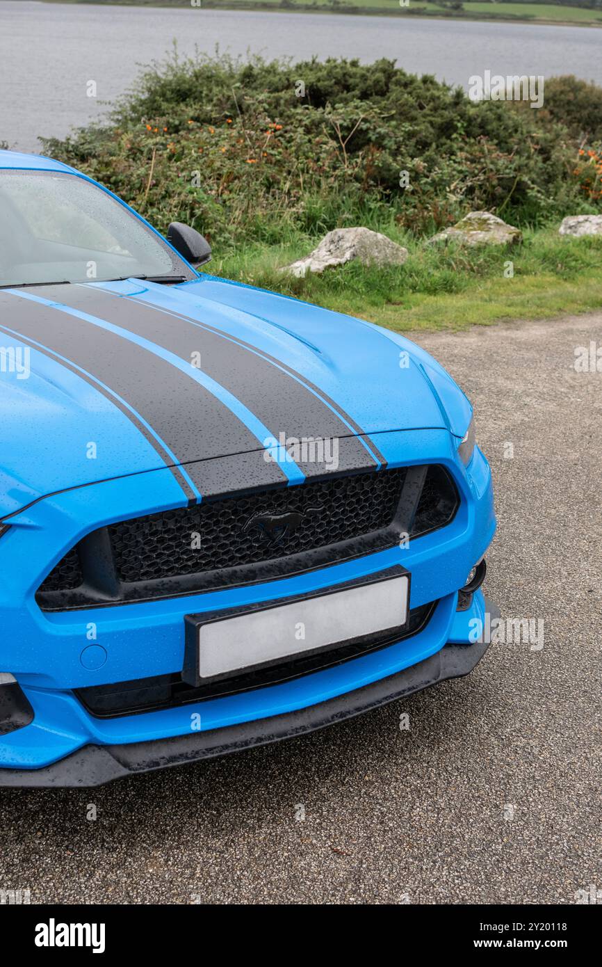 Black Horse - Ford Mustang GT S550 Pre-Facelift Stock Photo - Alamy