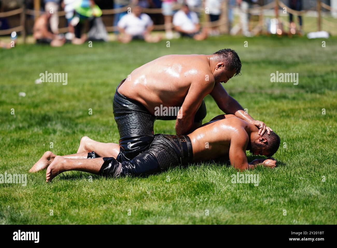 ISTANBUL, TURKIYE - JUNE 08, 2024: Oil wrestlers compete during ...