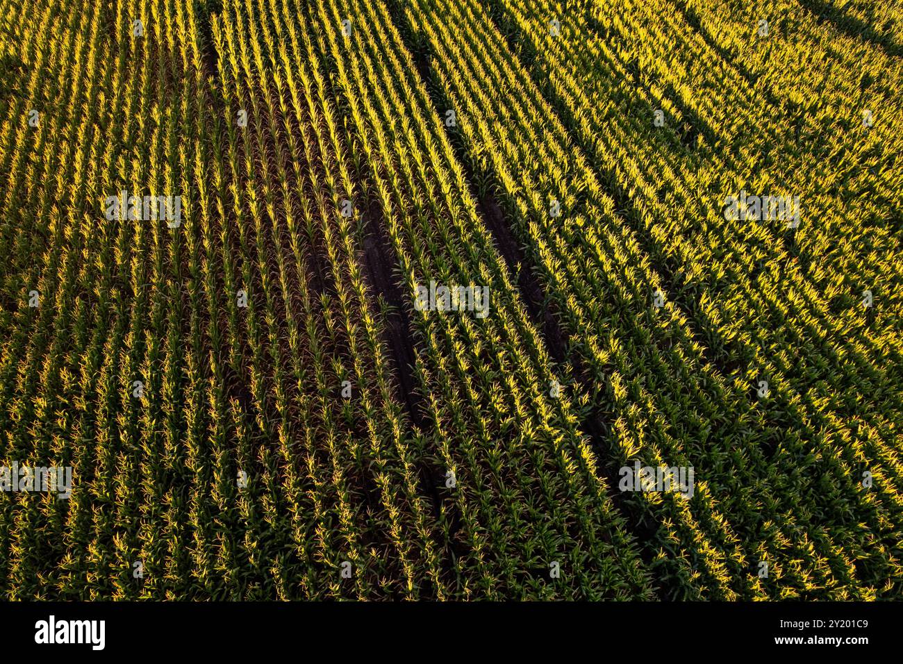 Closeup view agriculture drone hi-res stock photography and images - Alamy