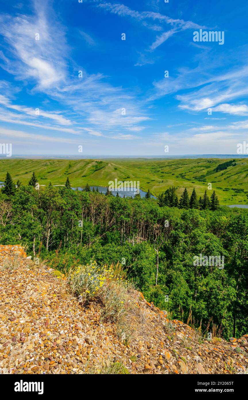 The conglomerate cap rock of the Cypress Hills (foreground) resisted ...