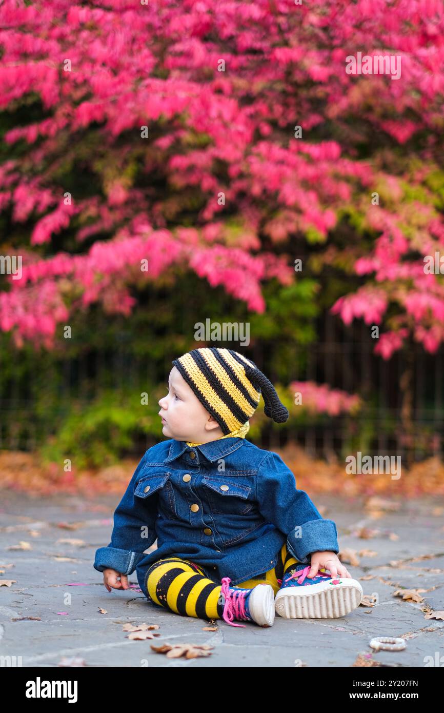 Happy little girl in Halloween bee costume Stock Photo - Alamy