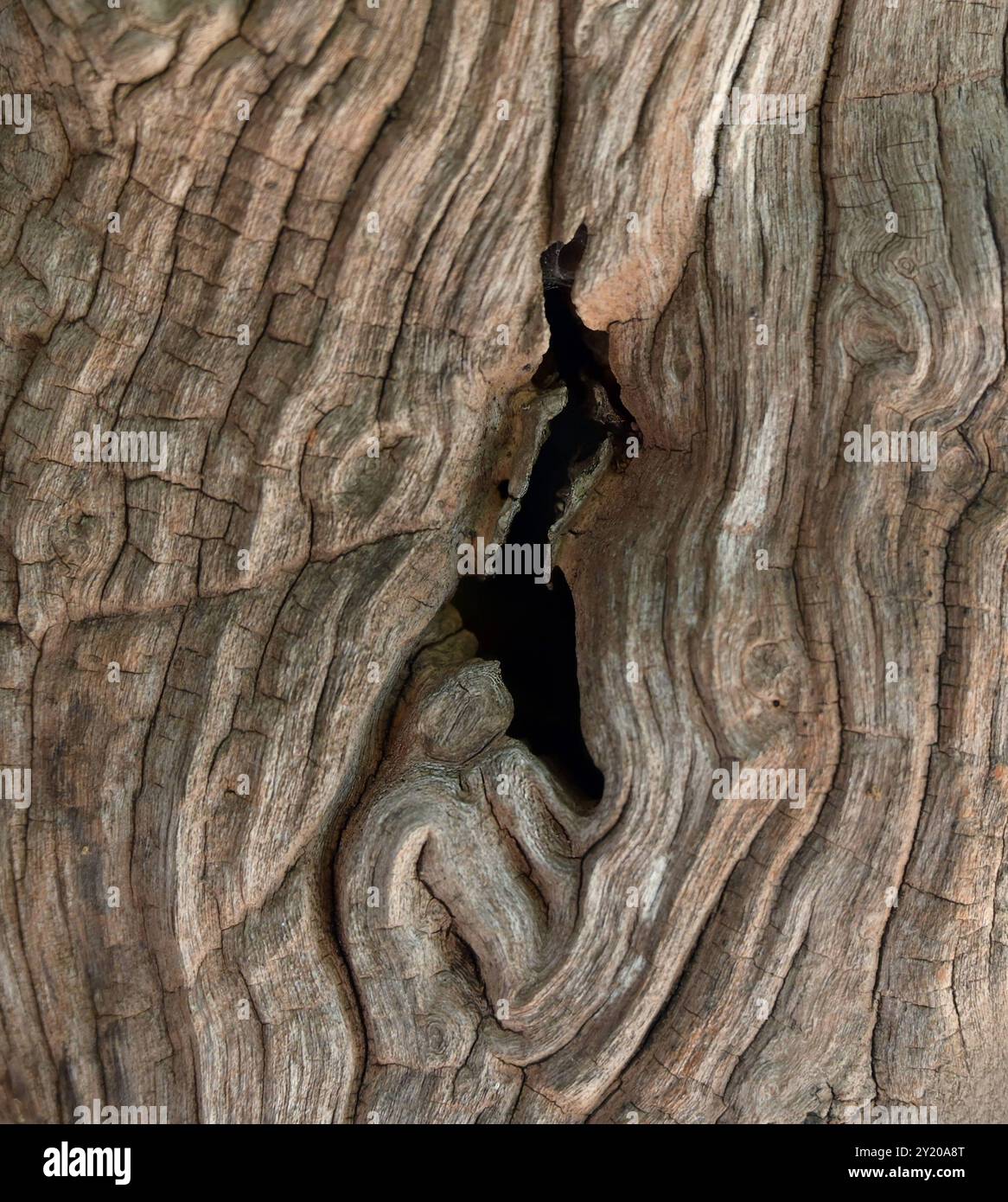 Urlaub mit Margot Stadlmann in Porec / Kroatien, am 24.08.2024. Das ...