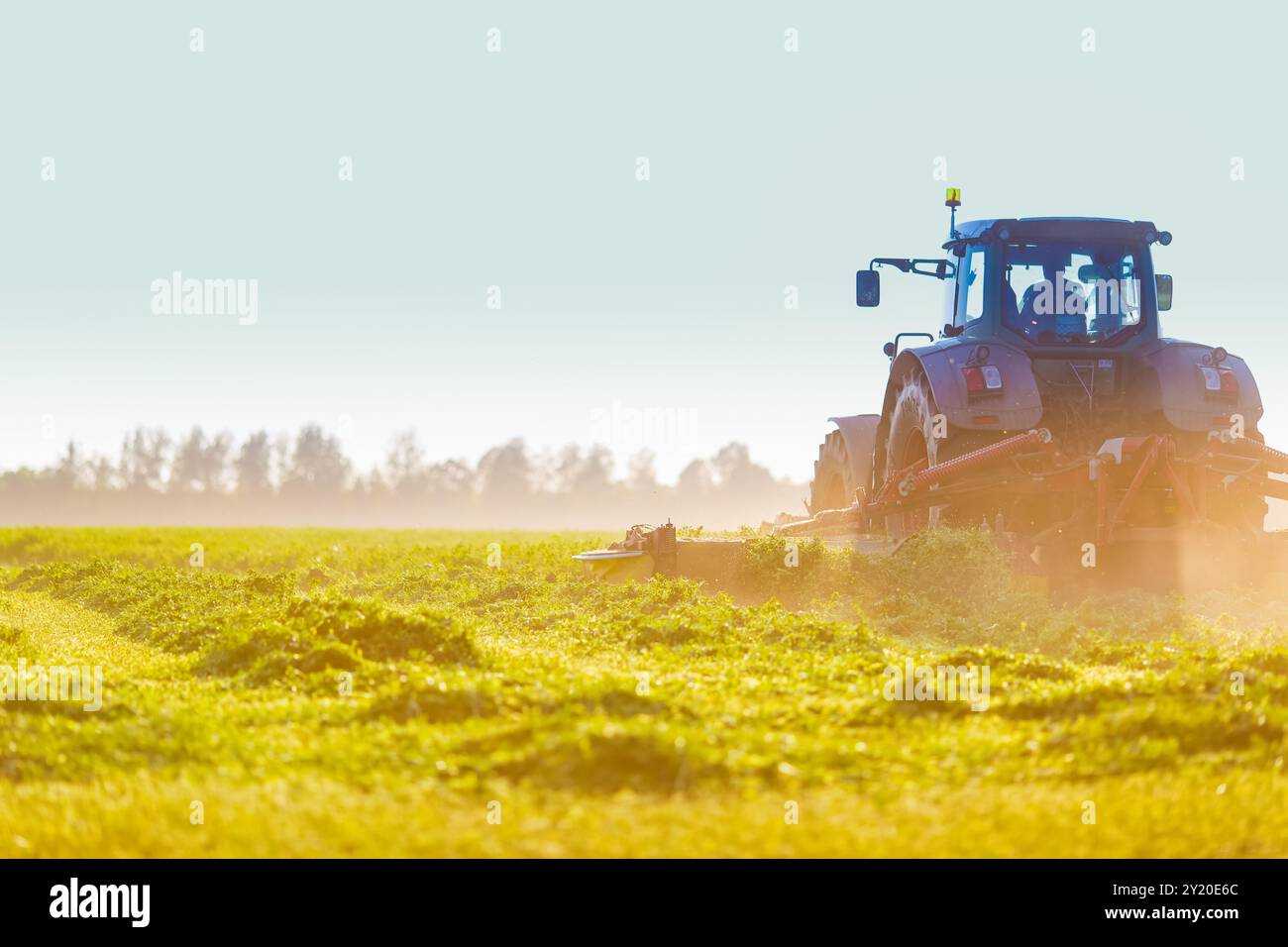 hay making for animals, harvesting green grass for feed with a tractor ...