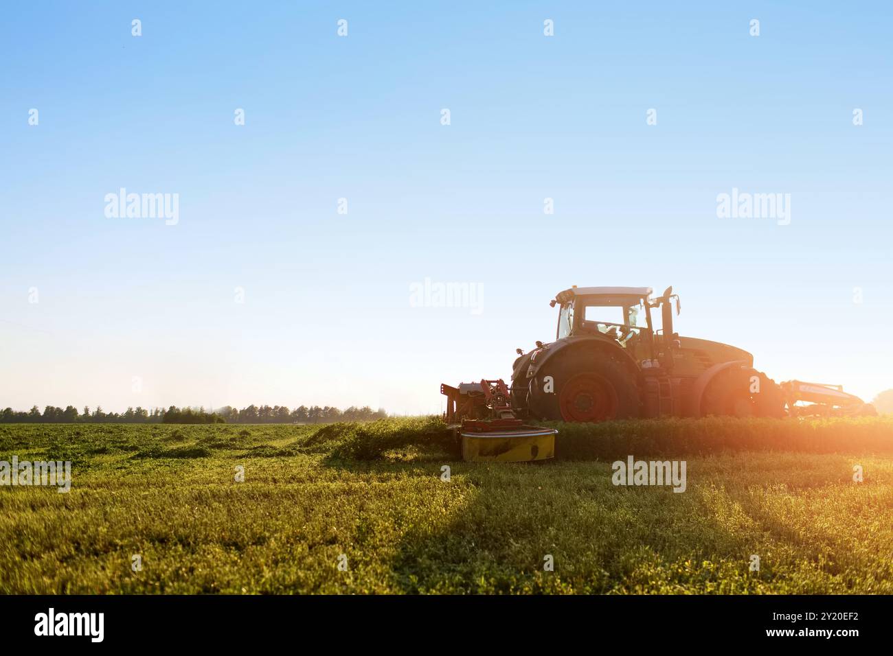hay making for animals, harvesting green grass for feed with a tractor ...