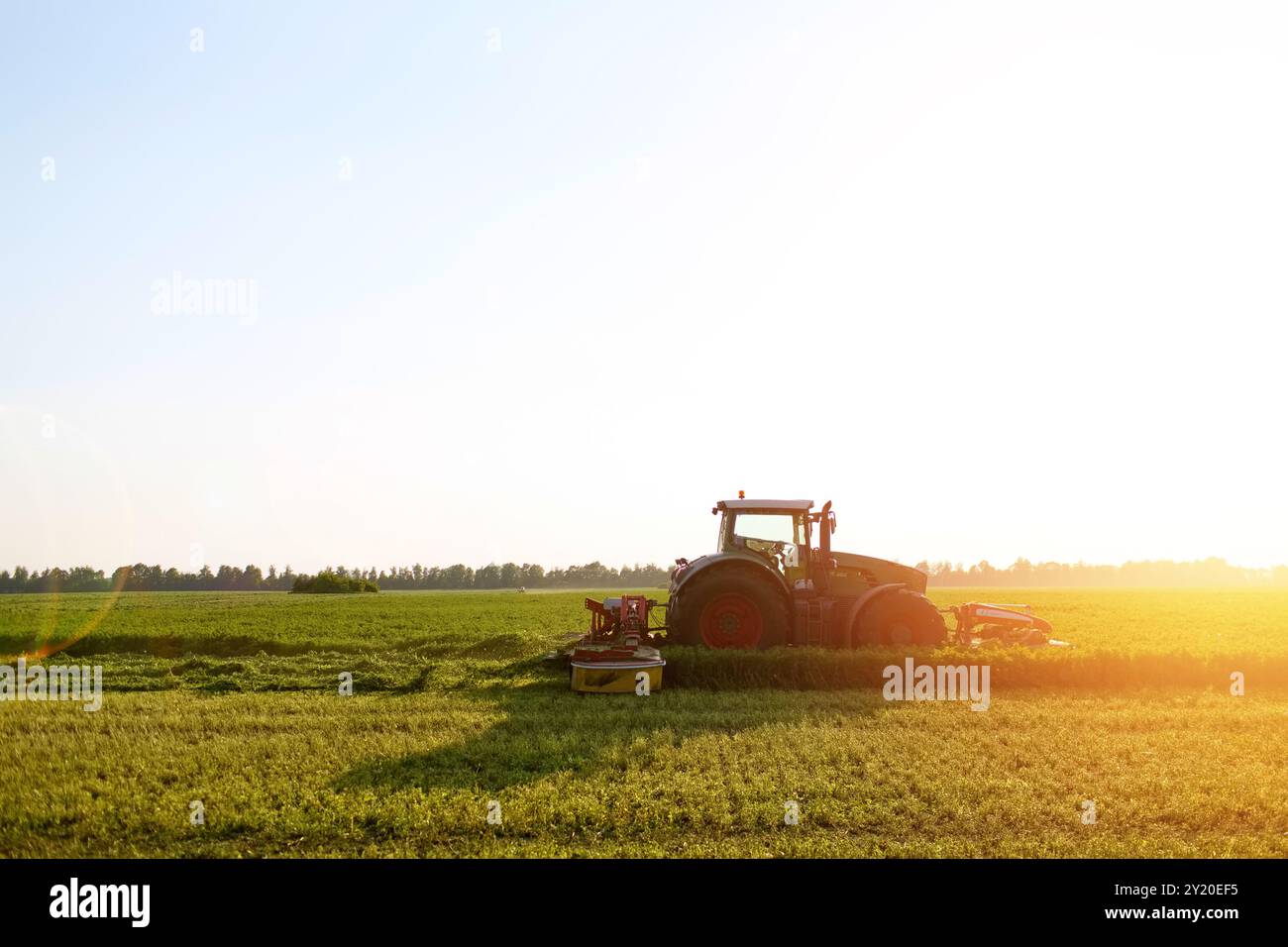 hay making for animals, harvesting green grass for feed with a tractor ...