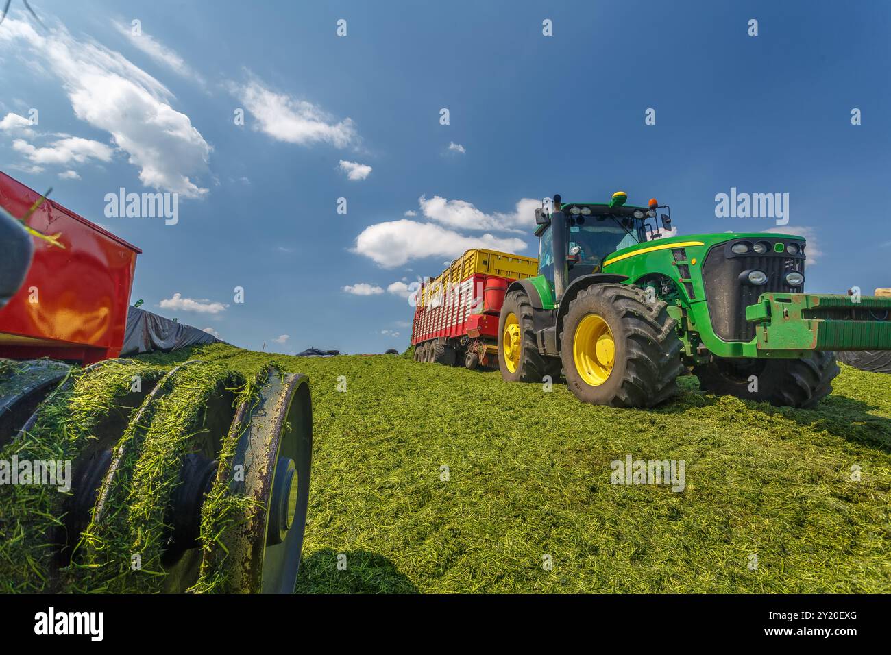 tractor harvesting hay for animals, tractor harvesting green grass for ...