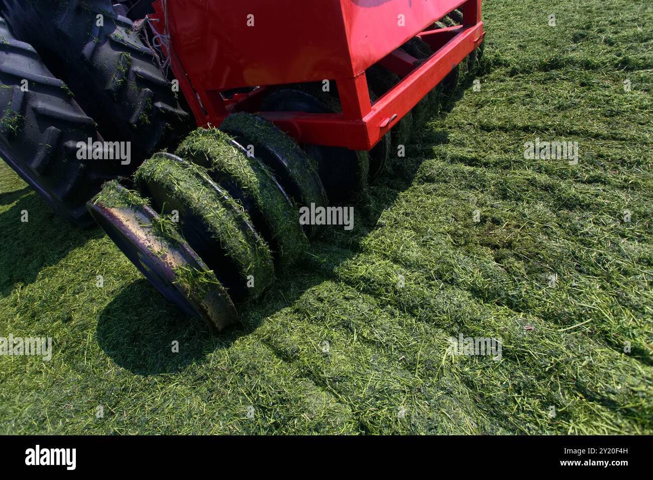 tractor harvesting hay for animals, tractor harvesting green grass for ...
