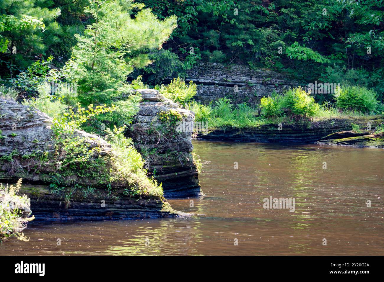 The rocky shoreline of Cambrian sandstone along the Wisconsin River in ...