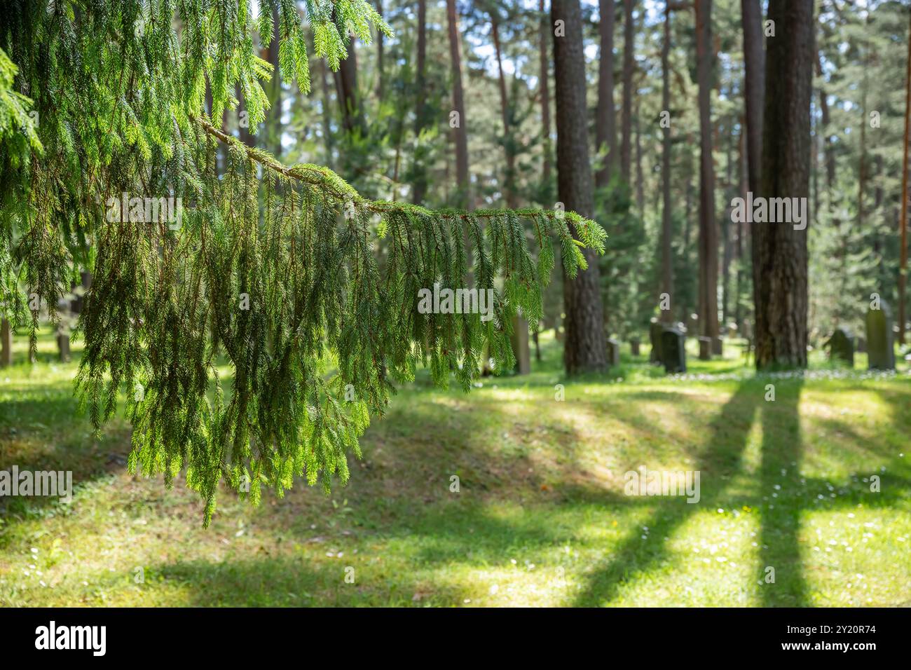 The Woodland Cemetery - Skogskyrkogården, Stockholm. Designed by Gunnar ...