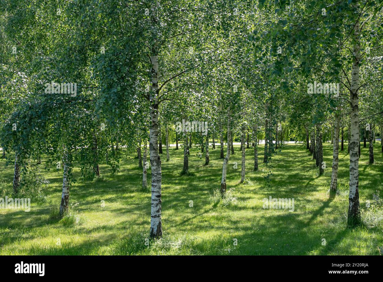The Woodland Cemetery - Skogskyrkogården, Stockholm. Designed by Gunnar ...