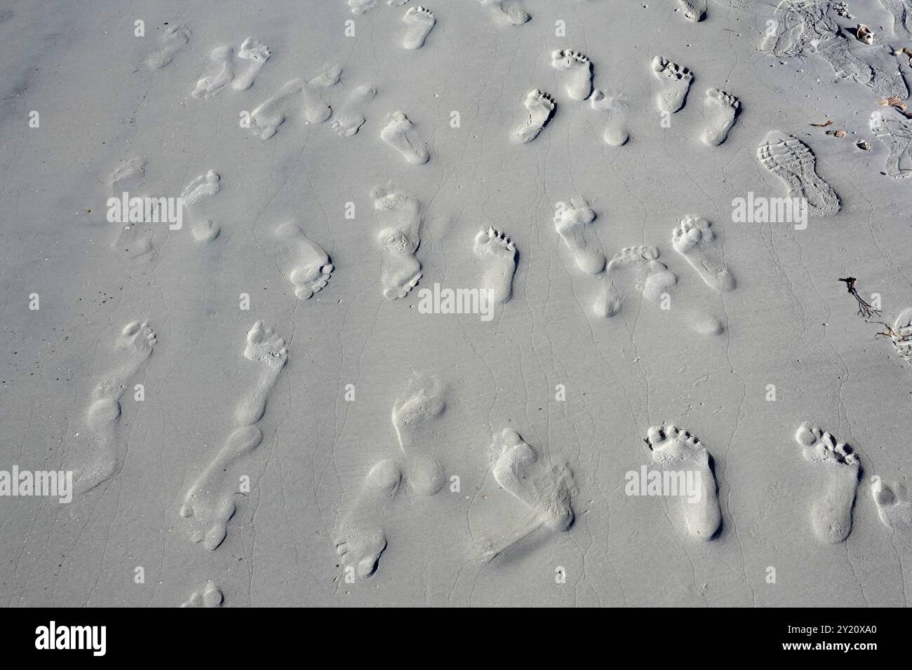 A group of footprints in the sand along a beach Stock Photo - Alamy