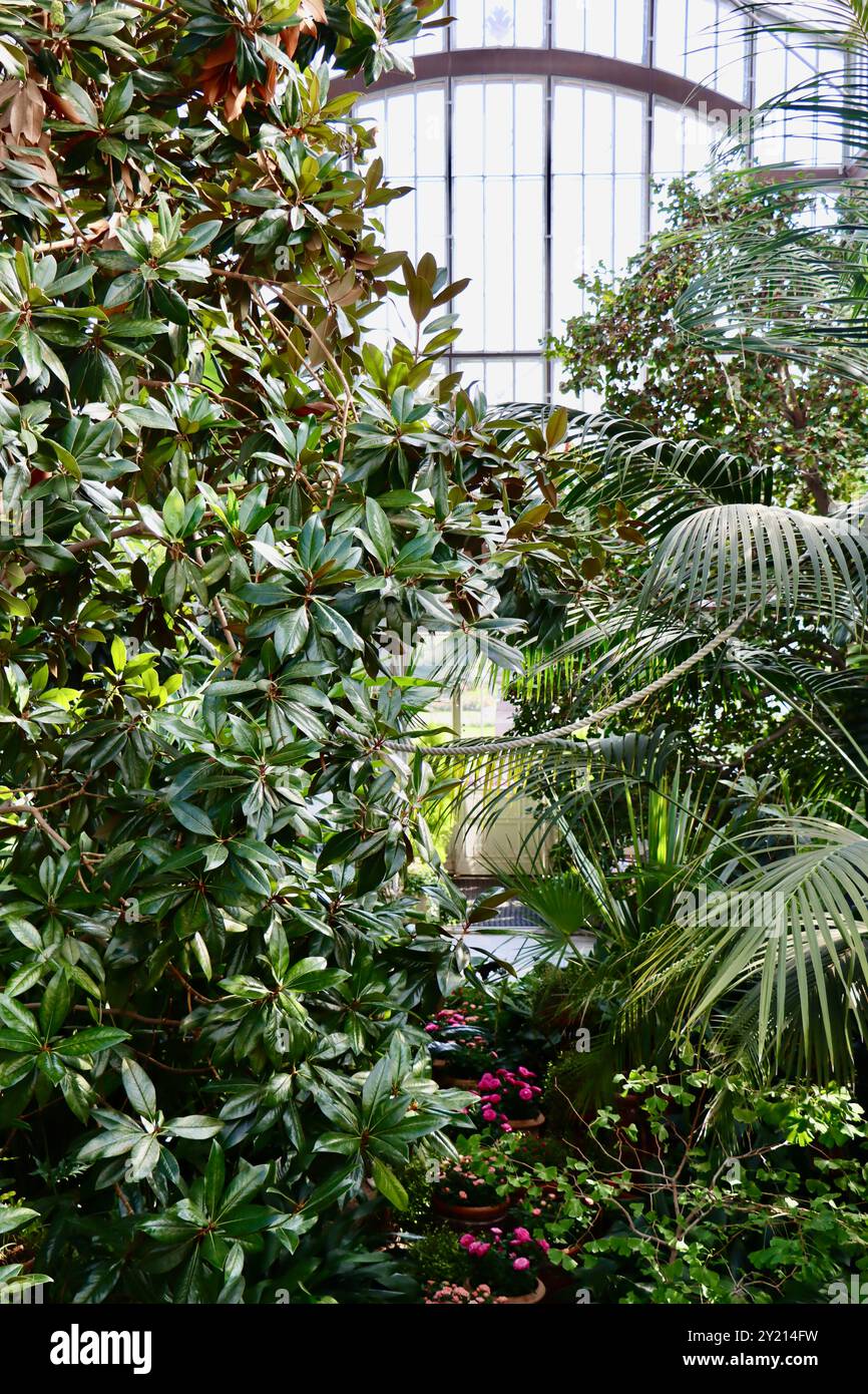 The Palm Room at Helsinki Winter garden, Finland, August 2024 Stock ...