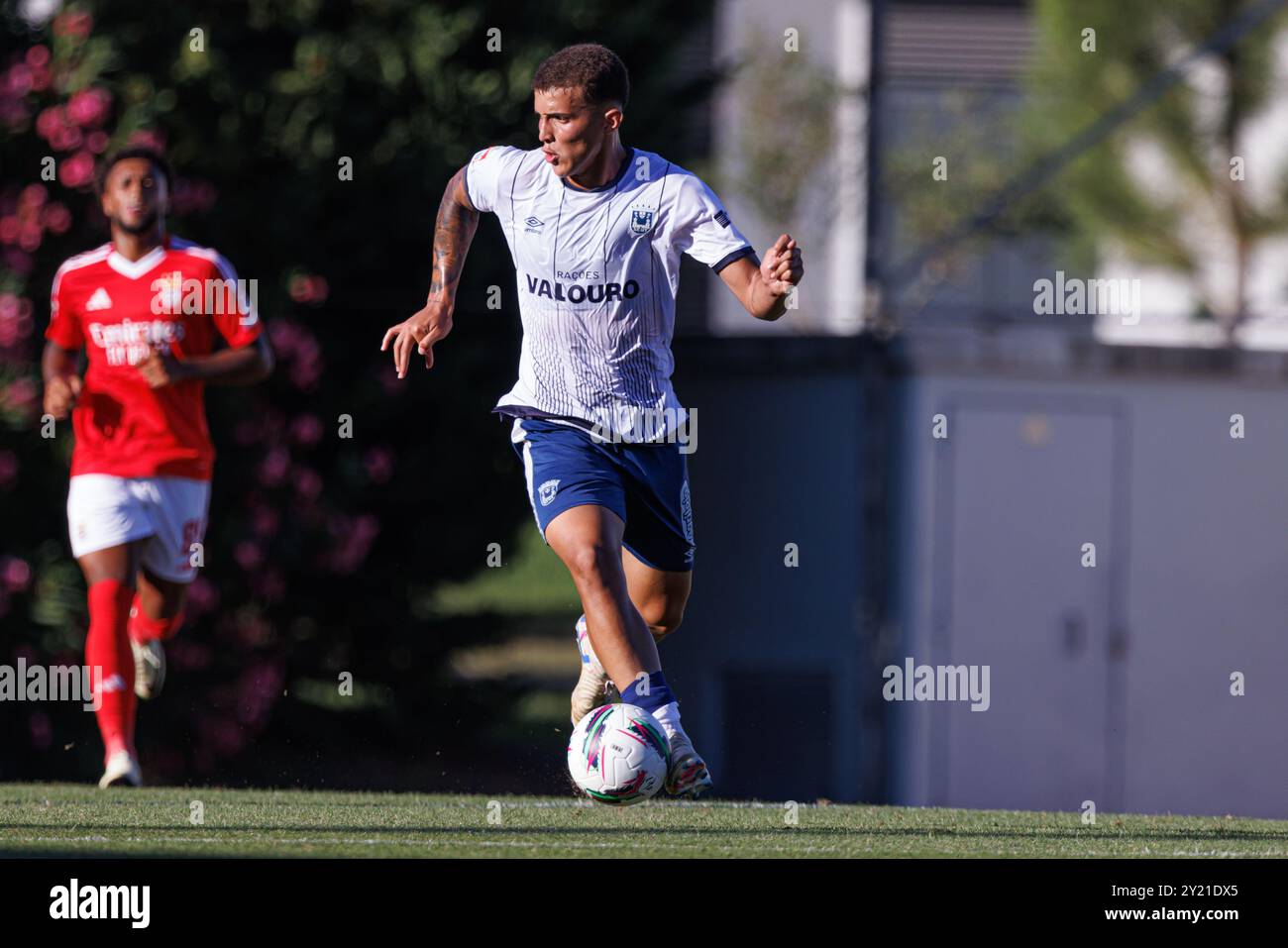Leo azevedo hi-res stock photography and images - Alamy