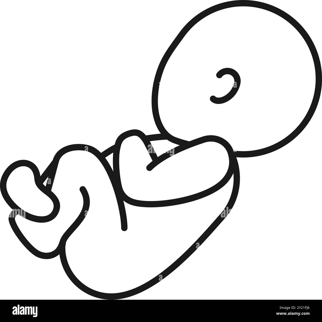 Line art icon drawing of a baby curled up in vector Stock Vector Image ...