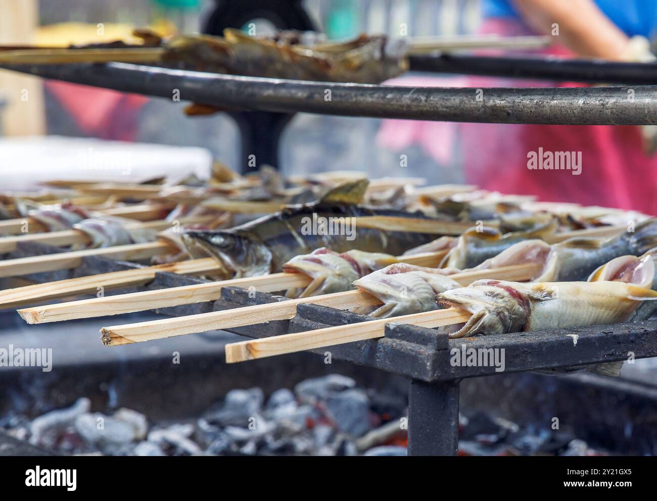 Grilled fish on skewers over open fire, outdoor cooking, barbecue ...