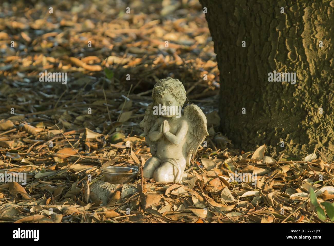 Tiny angel statue in country churchyard Stock Photo - Alamy