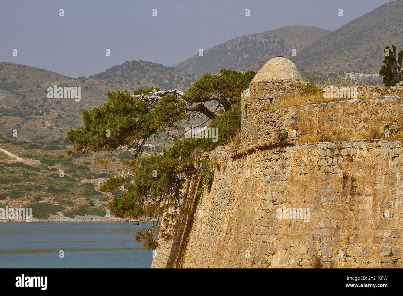 An old stone wall with a tree growing over it, in front of mountains ...