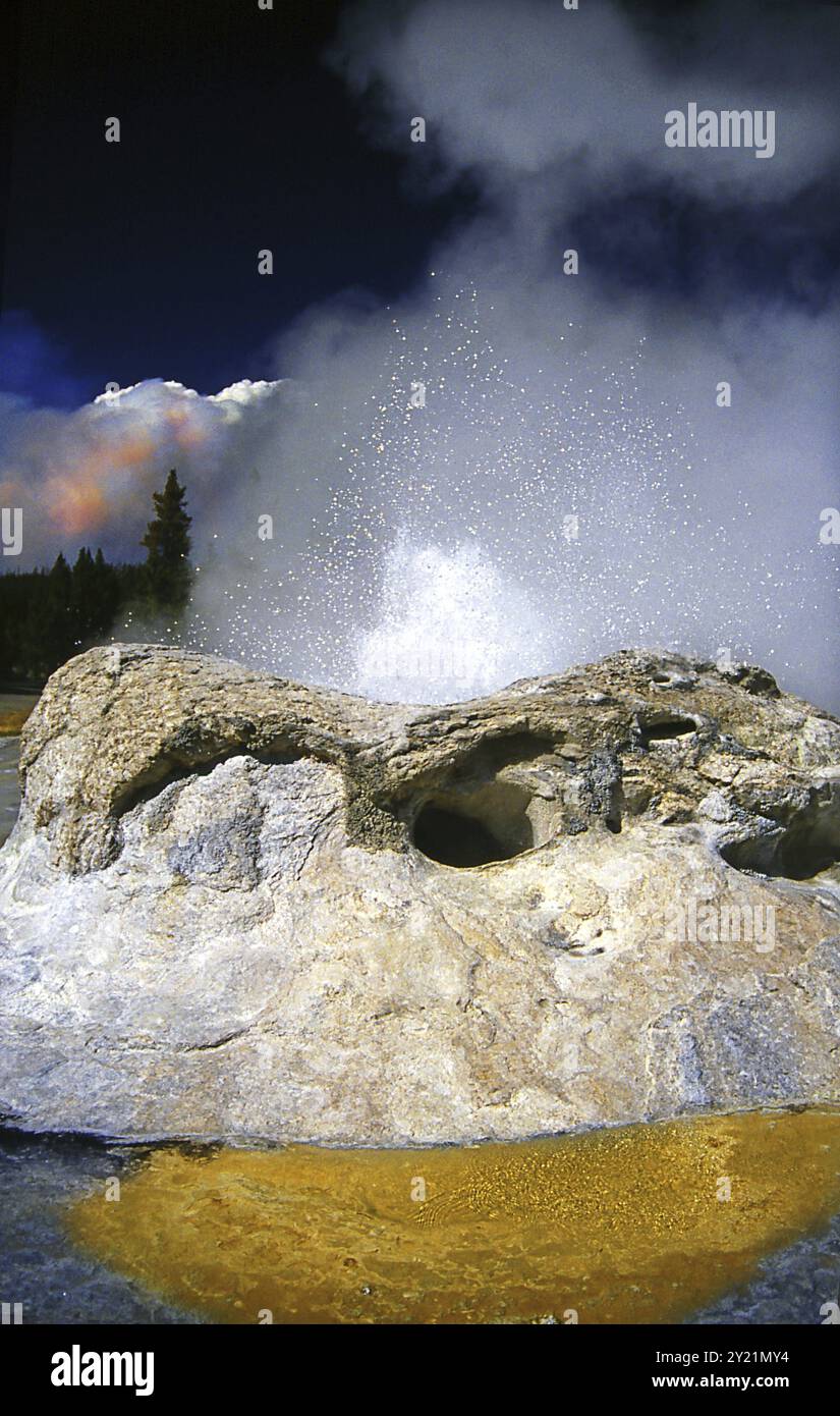 Upper Geyser Basin, Yellow Stone NP, USA, North America Stock Photo - Alamy