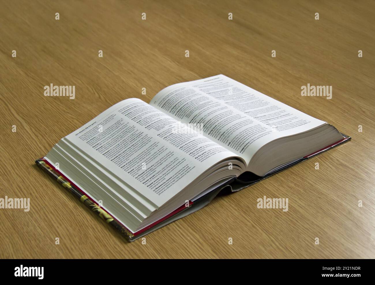 Reference book dictionary with pages open symbolising learning ...