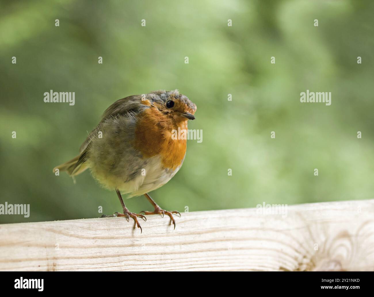 Head tilted to the side hi-res stock photography and images - Alamy