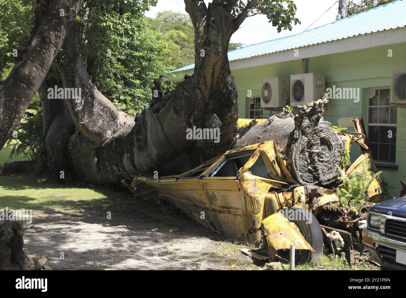Smashed school bus, Dominica in the Caribbean with sky in background ...