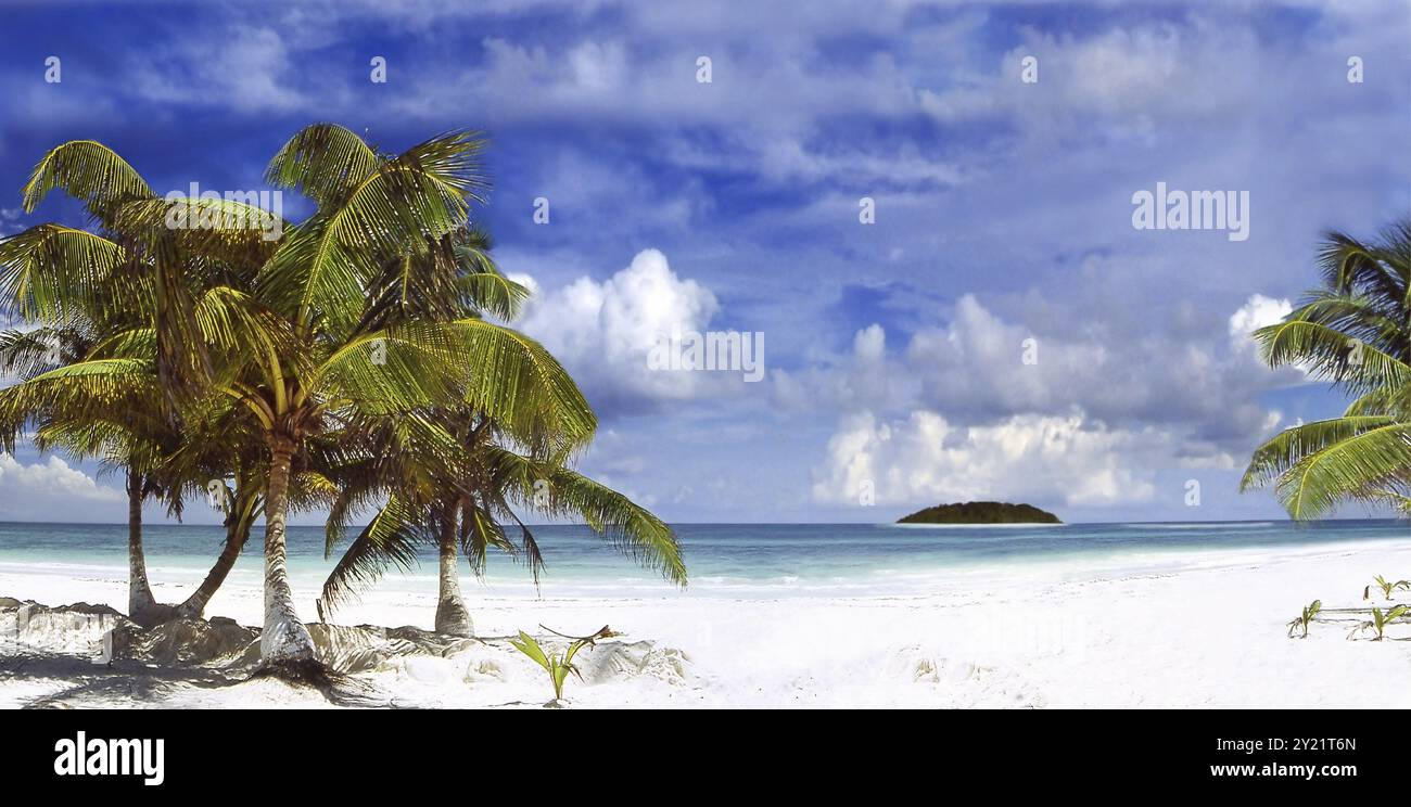 Punta Allen beach, Mexico, Central America Stock Photo - Alamy