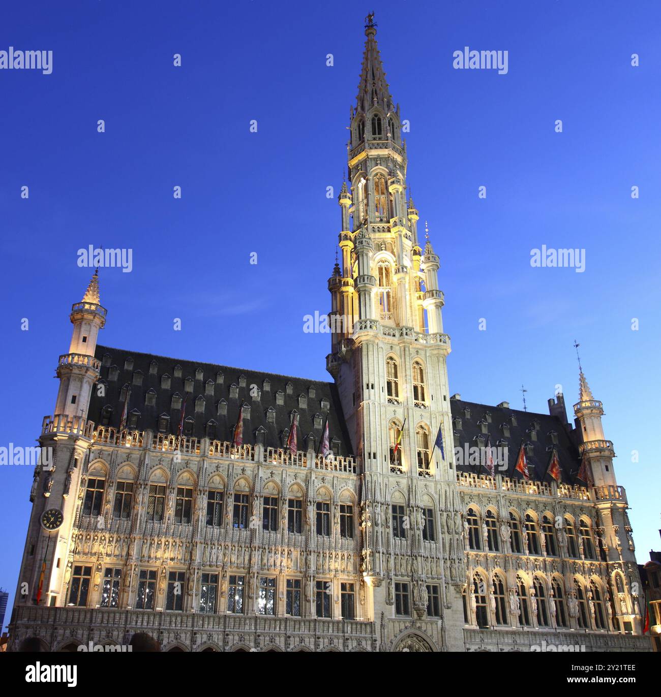 City hall in Brussel at twillight illuminated during light show Stock ...