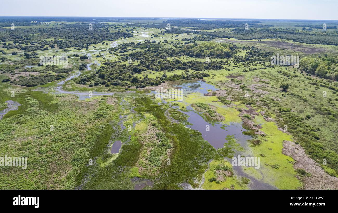 Aerial shot of typical Pantanal Wetlands landscape with lagoons ...