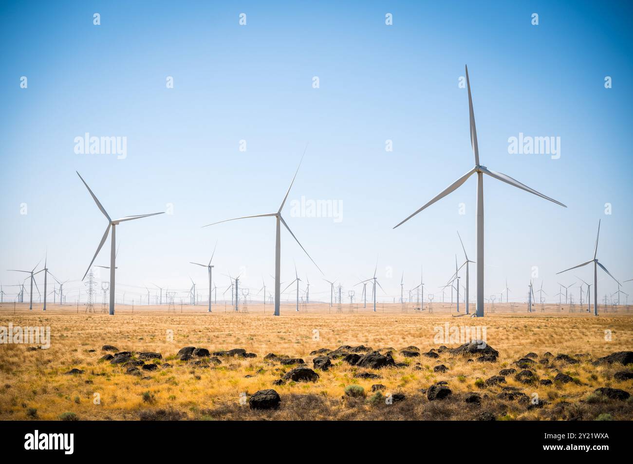 Wind turbines power generators along the Columbia River in Oregon state ...