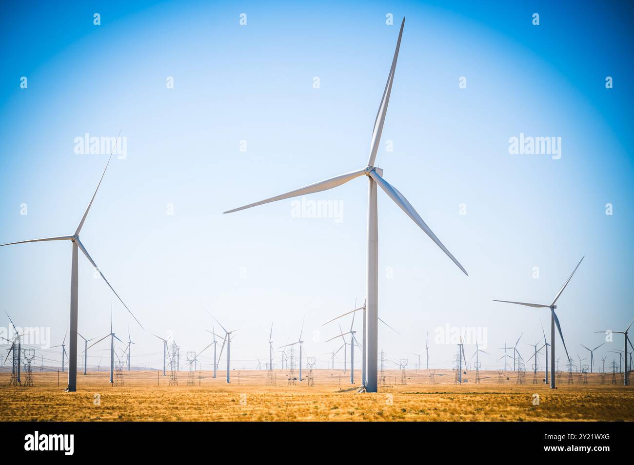 Wind turbines power generators along the Columbia River in Oregon state ...