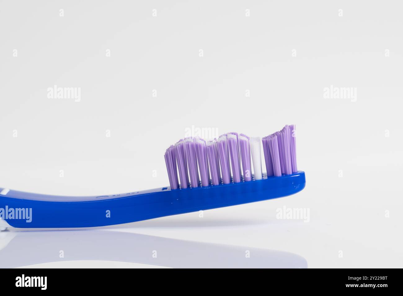 A detailed close-up image of a purple toothbrush with bristle Stock ...