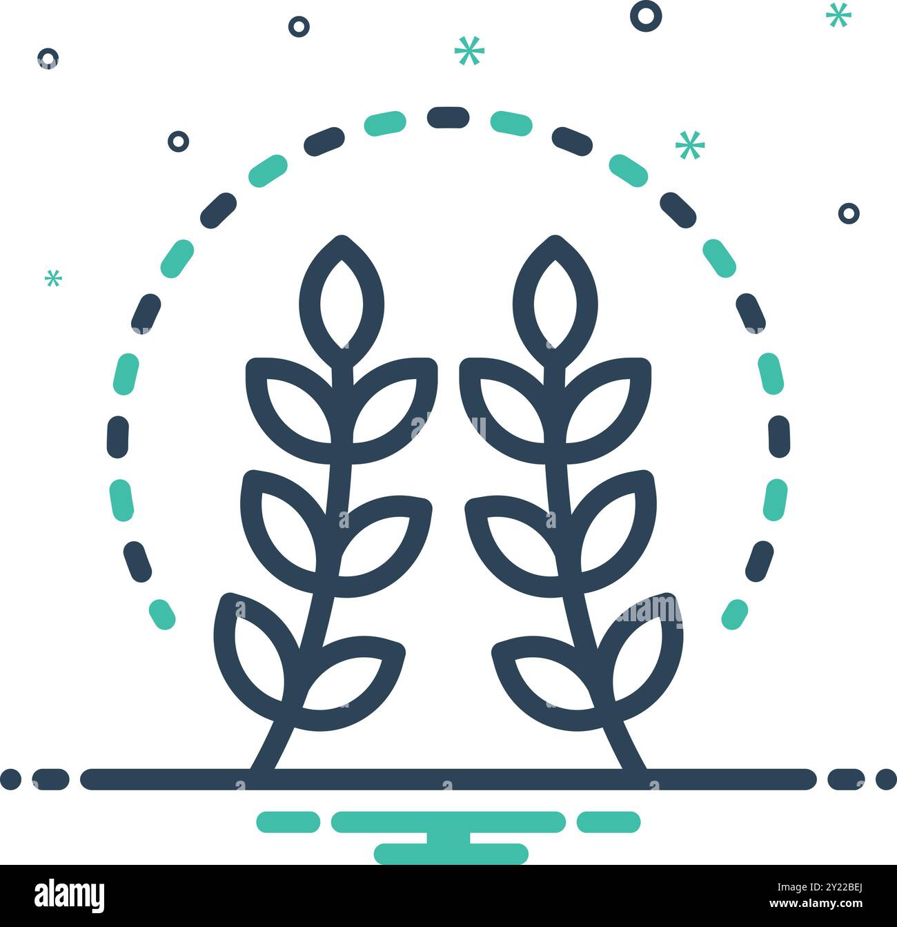 Durum wheat harvest Stock Vector Images - Alamy