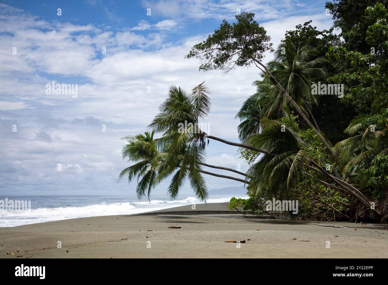 Beach, Osa Peninsula, Costa Rica Stock Photo - Alamy