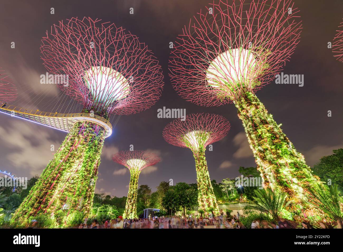 Awesome night view of the Supertree Grove in Singapore Stock Photo - Alamy