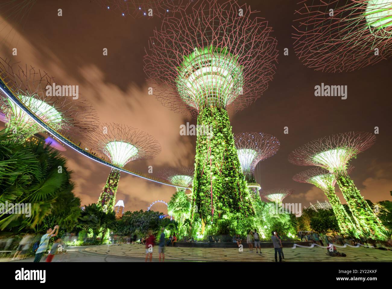 Scenic night bottom view of the Supertree Grove in Singapore Stock ...