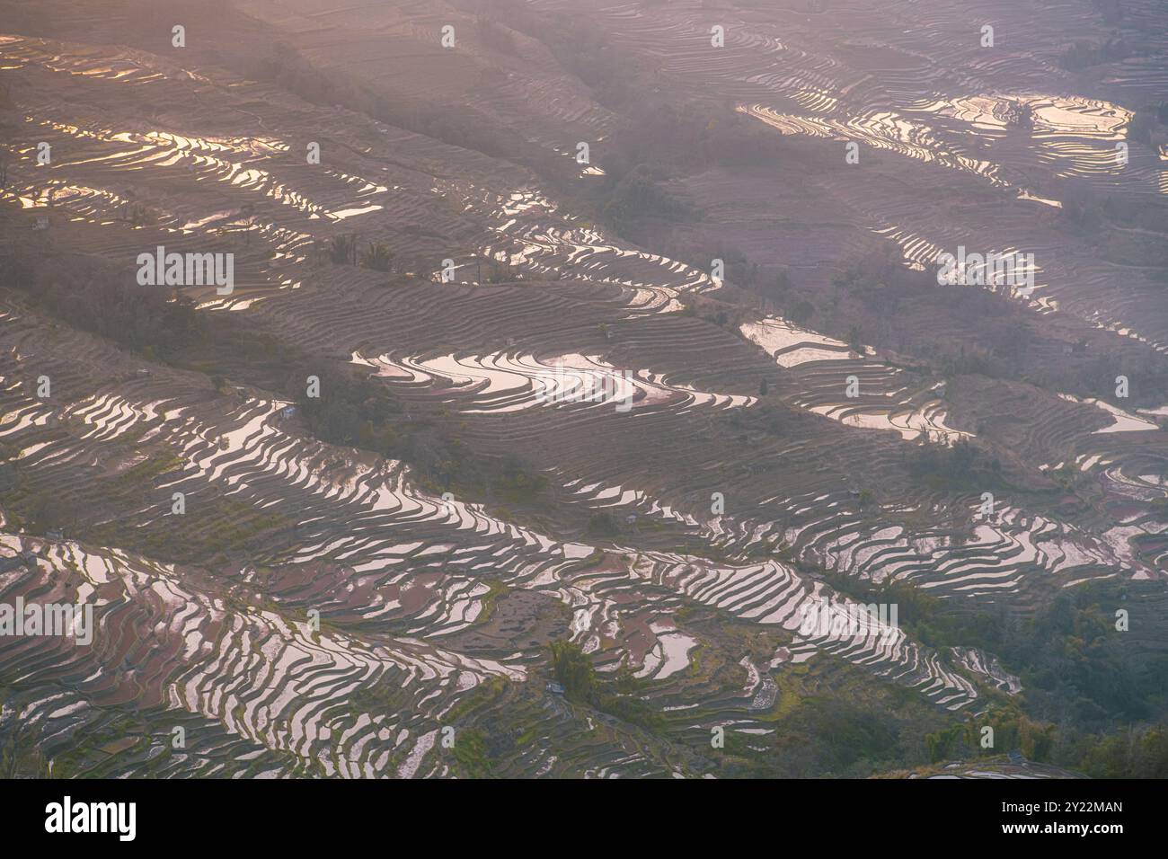 Abstract shot of Bada rice terraces filled with water, Yuanyang, Yunnan ...