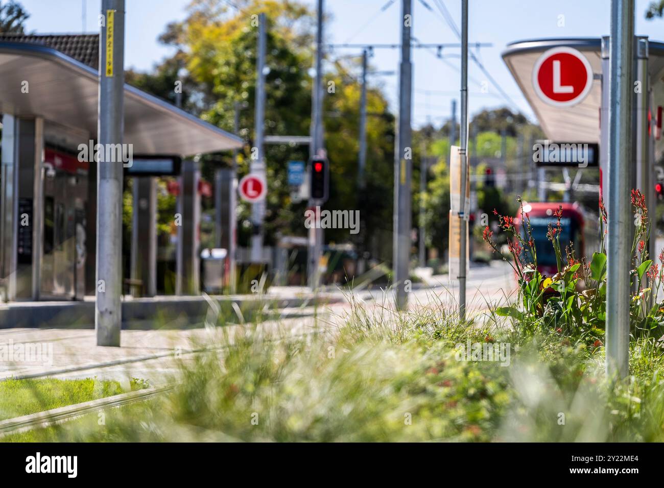 Ngara Tram Station in Cumberland Hospital Stock Photo - Alamy
