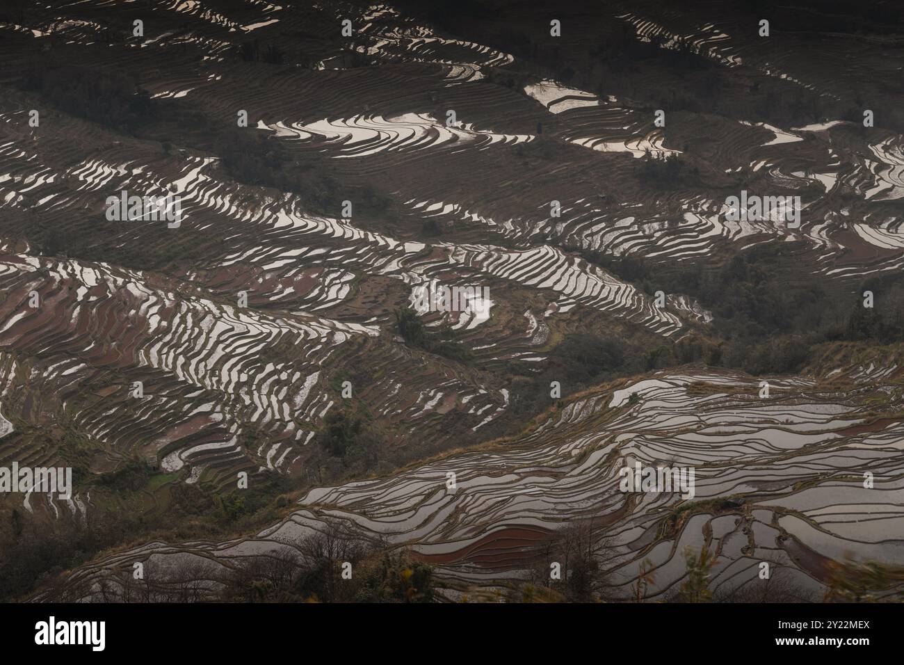 Close up on the layers of the rice terraces in Bada rice terraces area ...