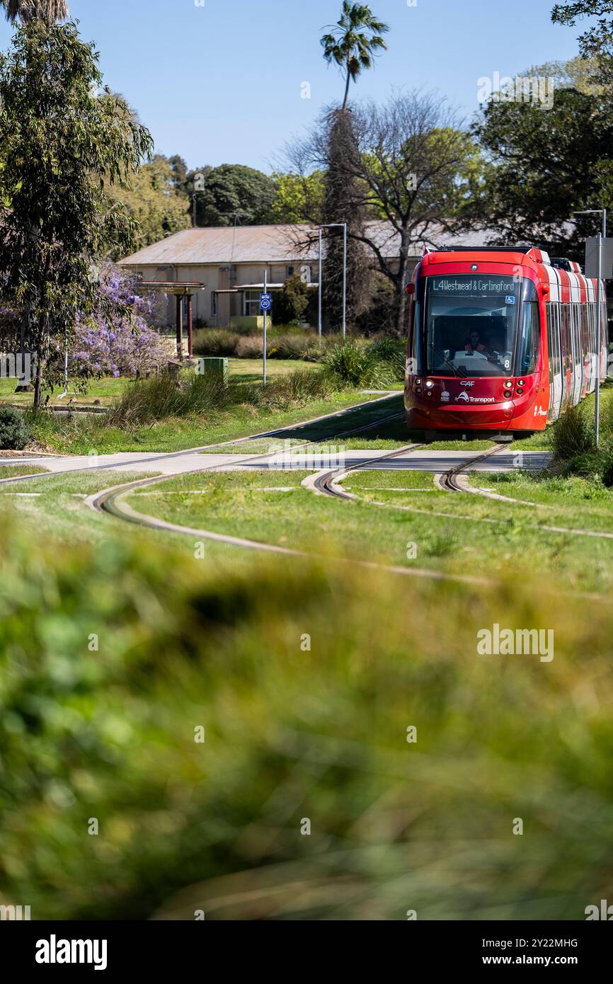 Ngara Tram Station in Cumberland Hospital Stock Photo - Alamy