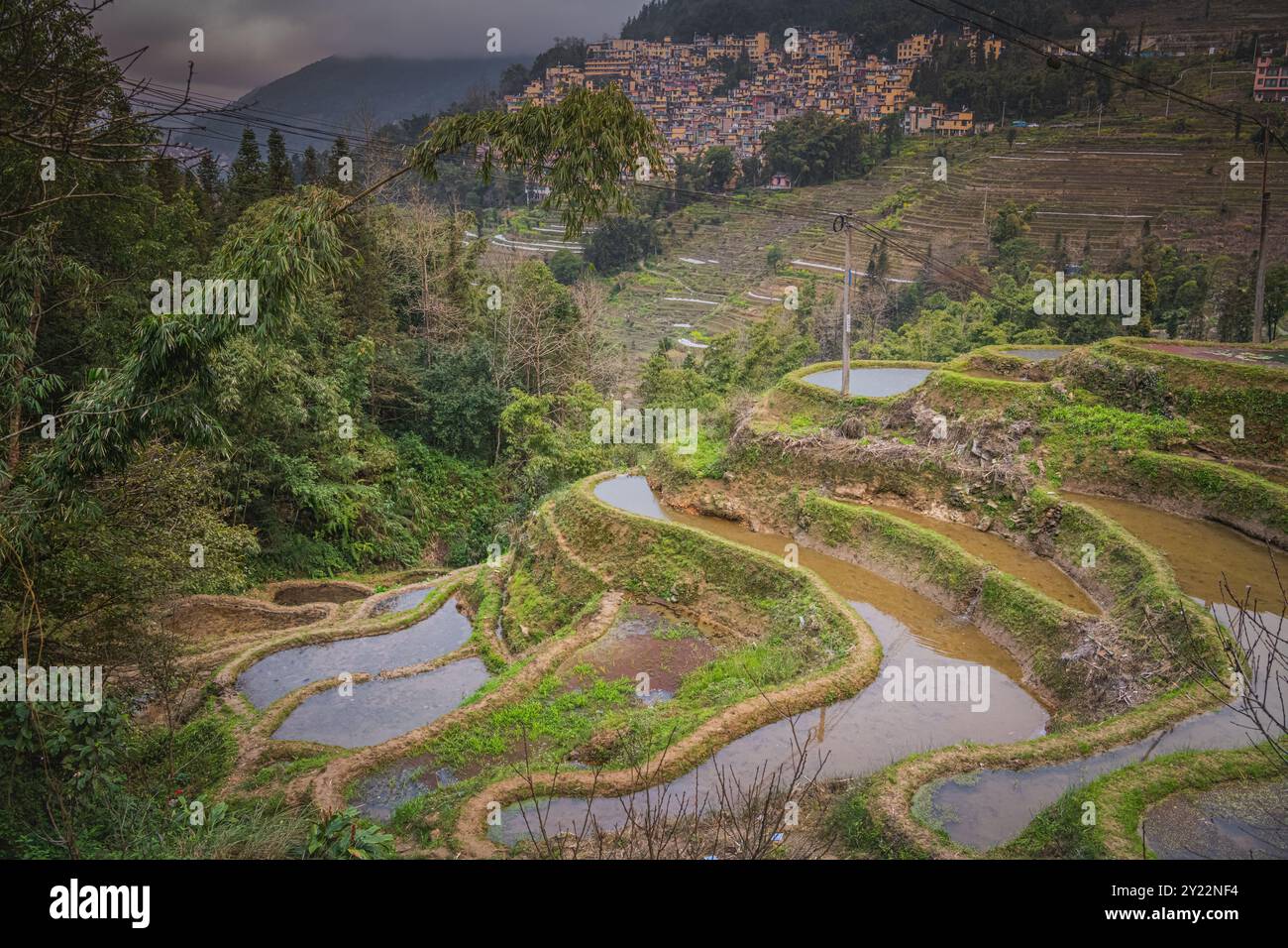 Terraced Rice fields filled with water during spring. The beautiful ...
