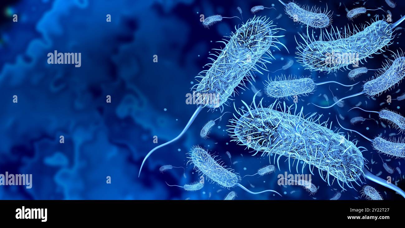 Cholera Surge as an infectious disease and dangerous Bacteria outbreak ...