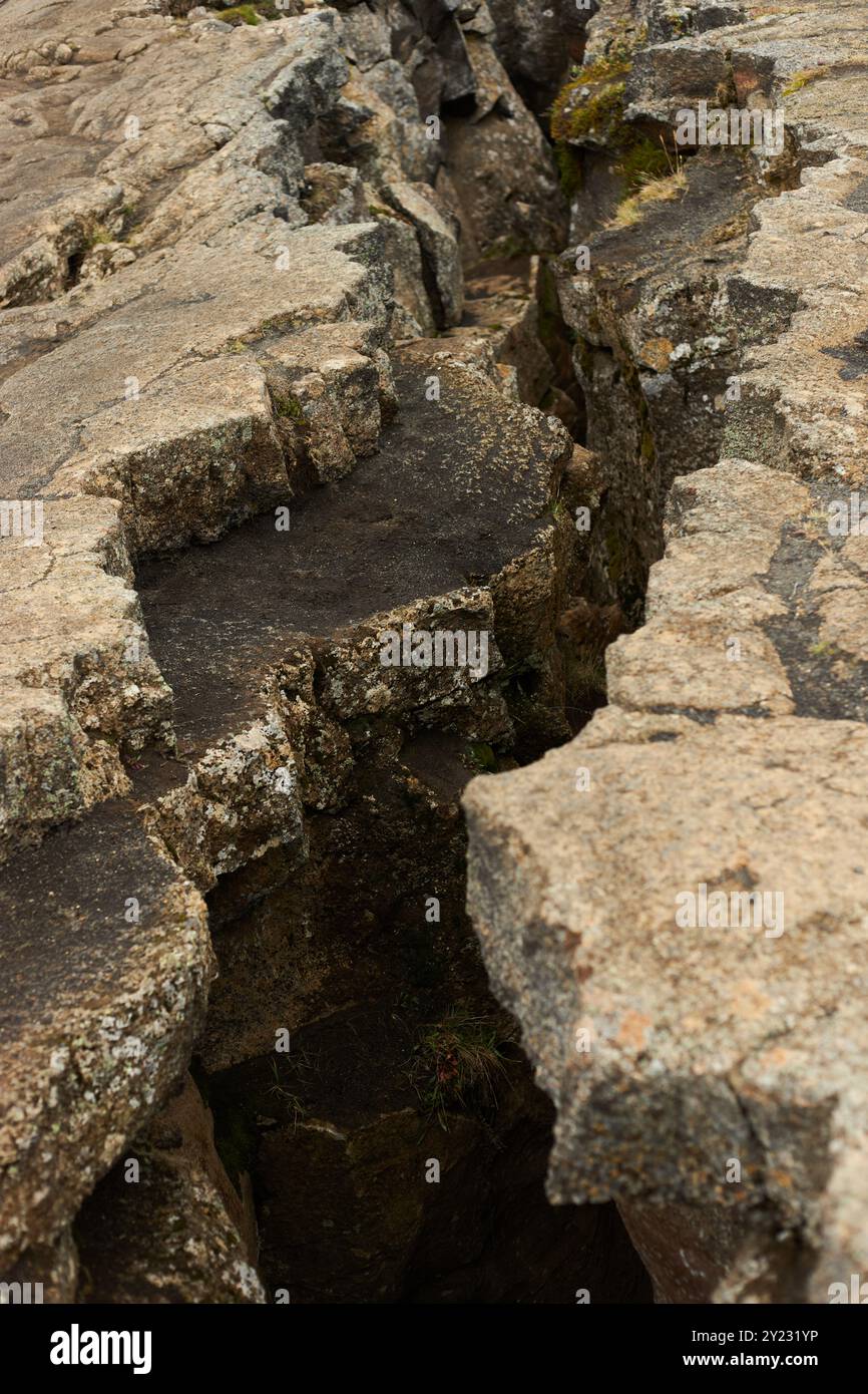 Impressive plates hi-res stock photography and images - Alamy