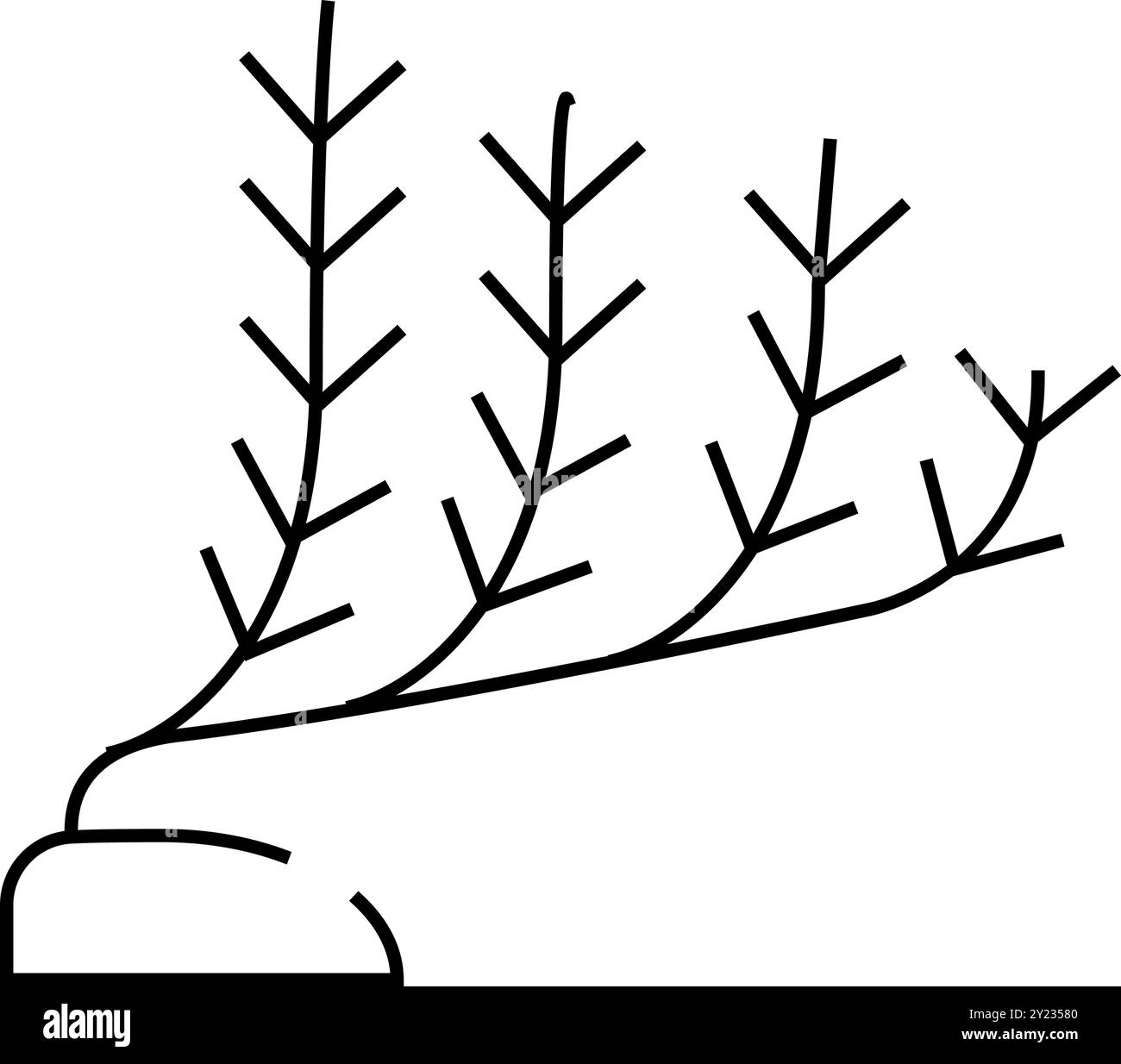 marine seaweed line icon vector illustration isolated Stock Vector ...