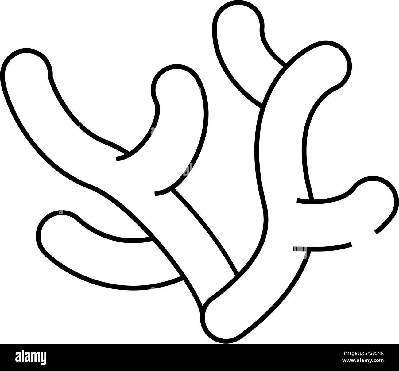 Polyps coral Stock Vector Images - Alamy