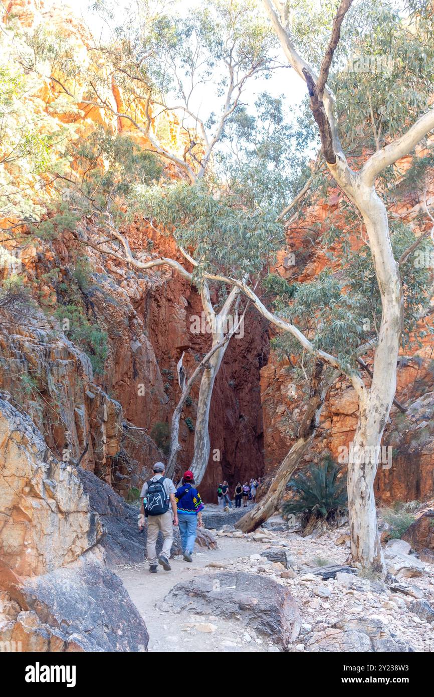 Standley chasm path to walk hugh west macdonnell ranges mountain hi-res ...