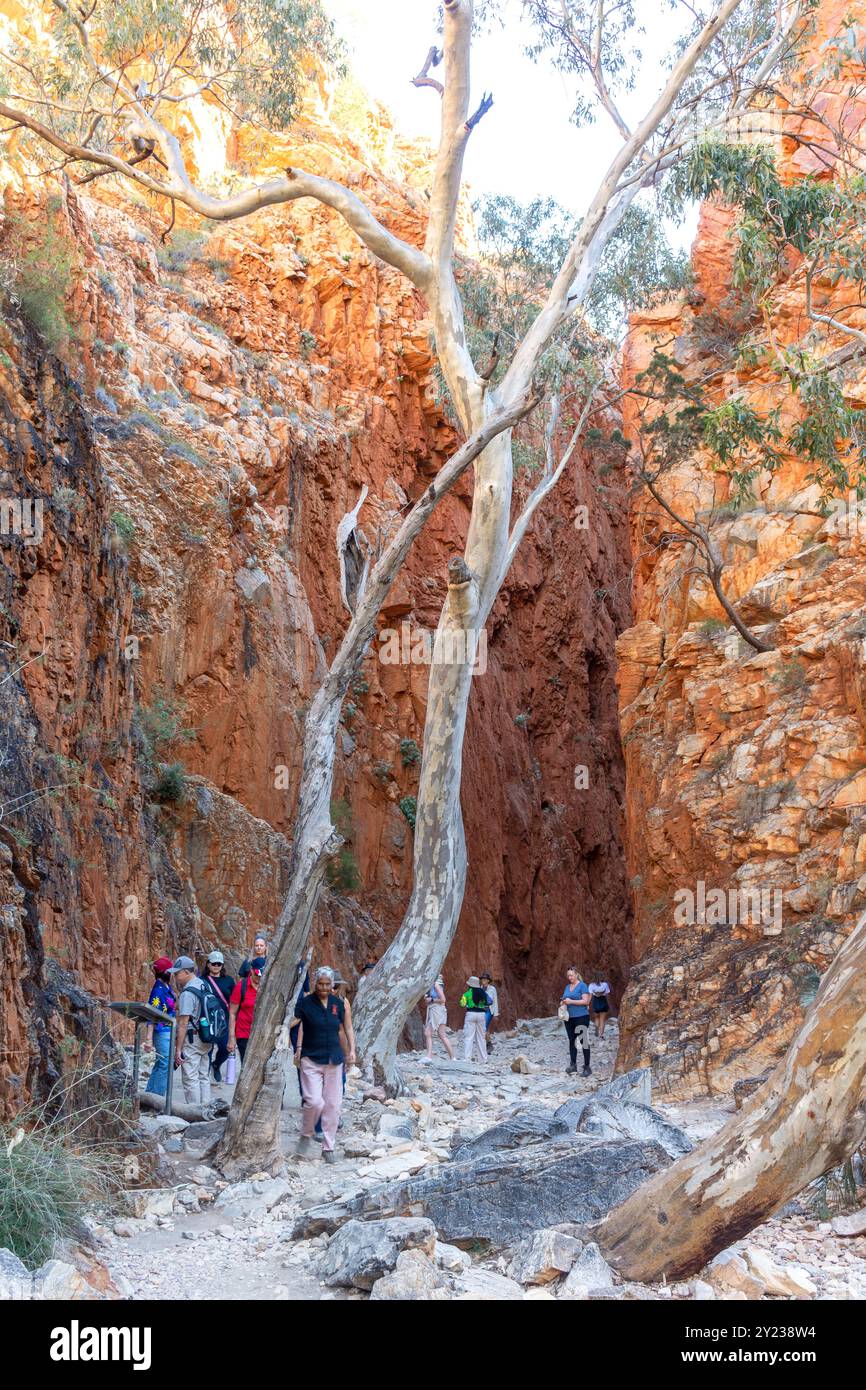 Standley Chasm, Hugh, West MacDonnell Ranges, West MacDonnell National ...