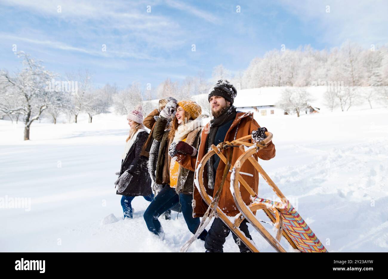 Group of friends pulling sleds behind them, going to sleddingin in ...