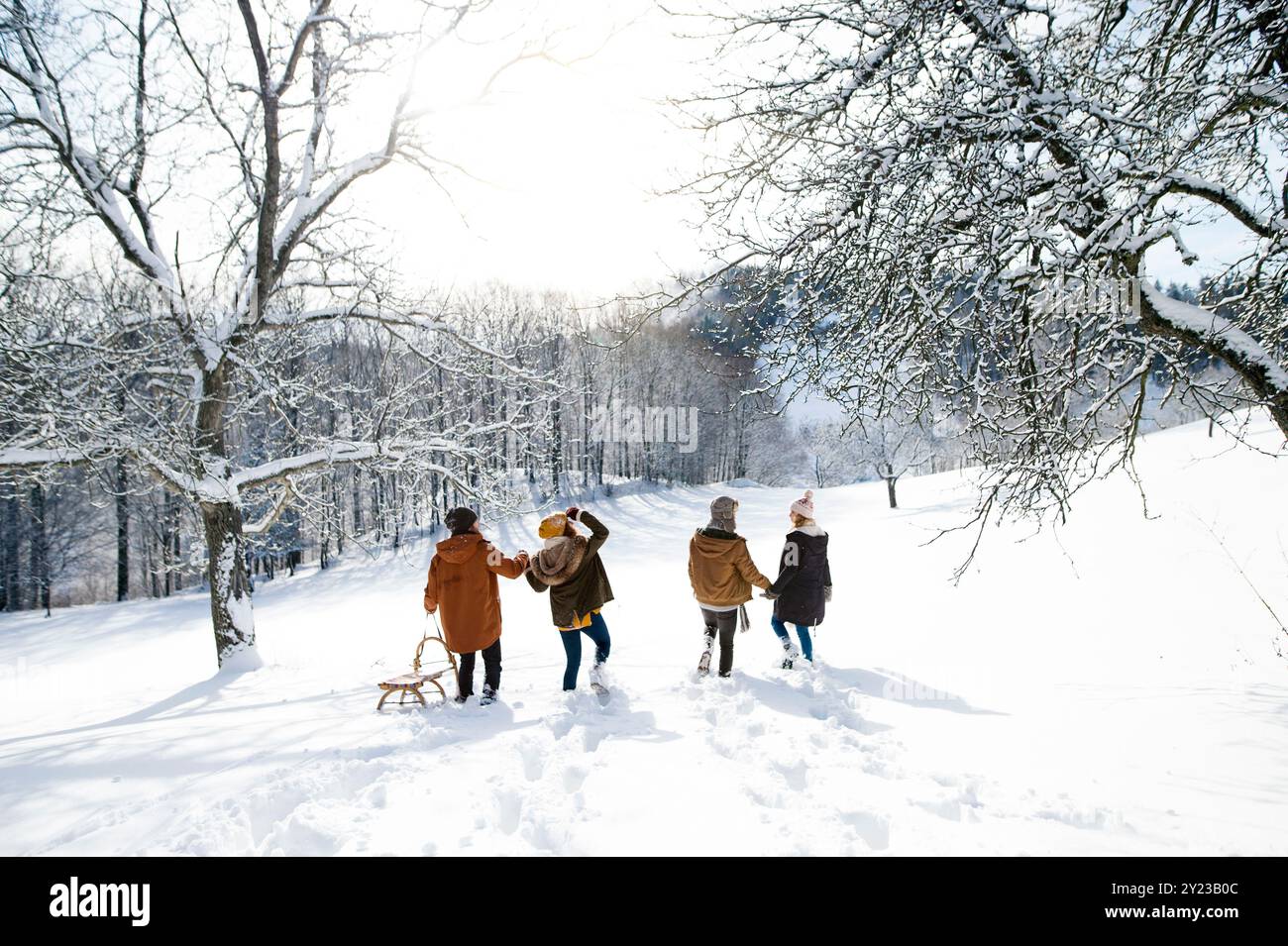 Group of friends pulling sleds behind them, going to sleddingin in ...