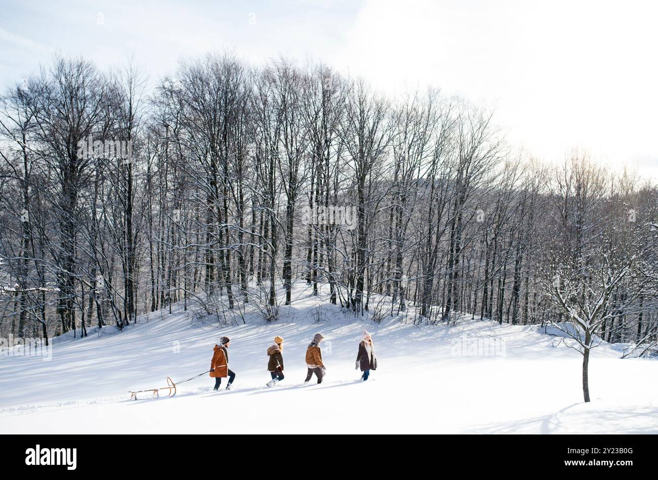 Group of friends pulling sleds behind them, going to sleddingin in ...